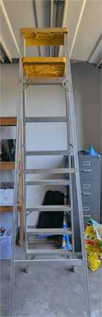 Great Lakes VNTG - Metal 8 Foot Davidson Ladder