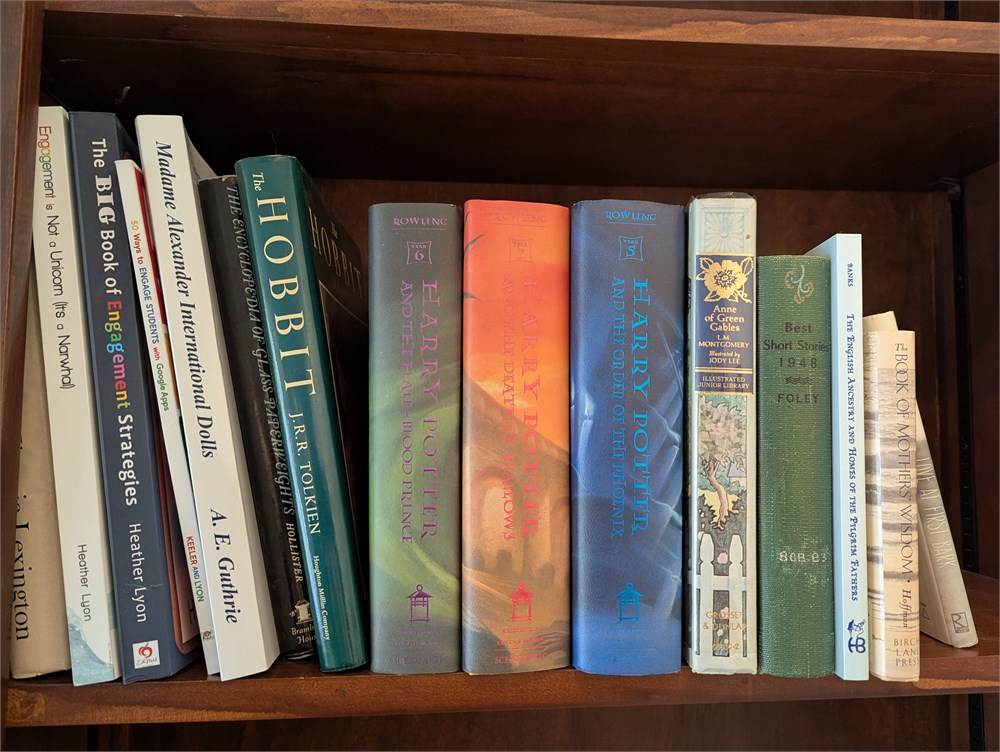Great Lakes VNTG - Whole Shelf Book Buyout Hobbit, Harry Potter, Anne ...